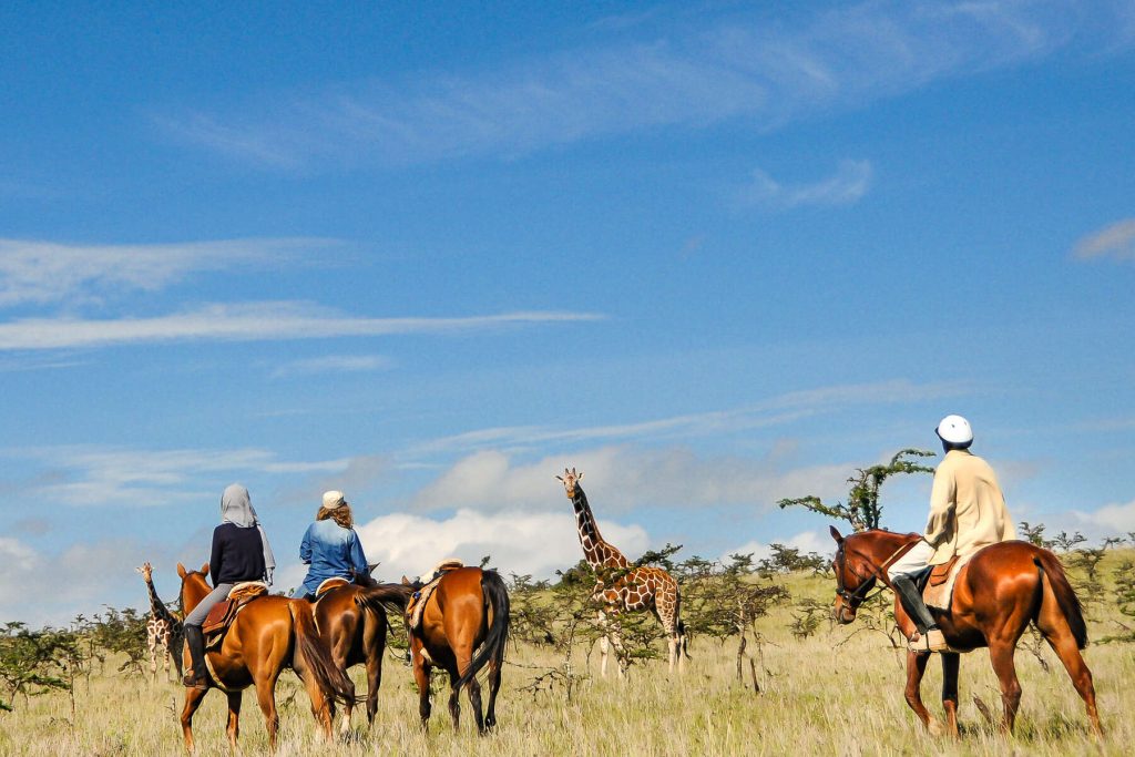 Things to do at Borana Lodge | Borana Lodge | Kenya Safaris Tours